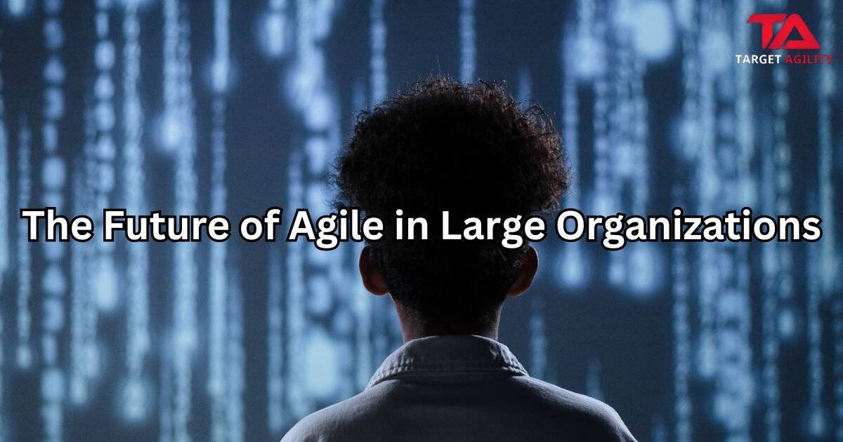 The Future of Agile in Large Organizations - Target Agility